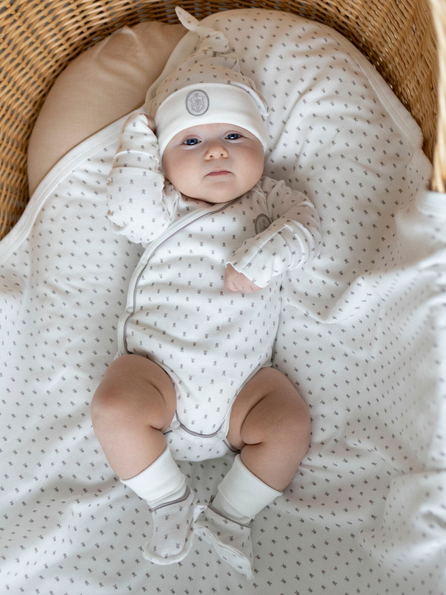 Боди Базовая коллекция