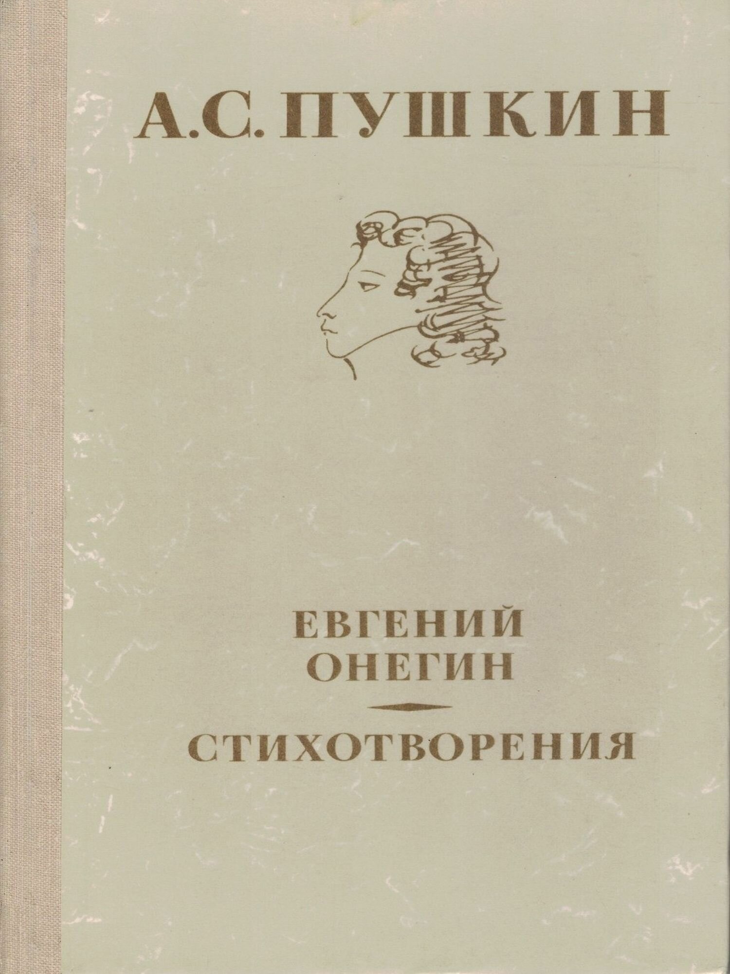 Евгений Онегин. Стихотворения