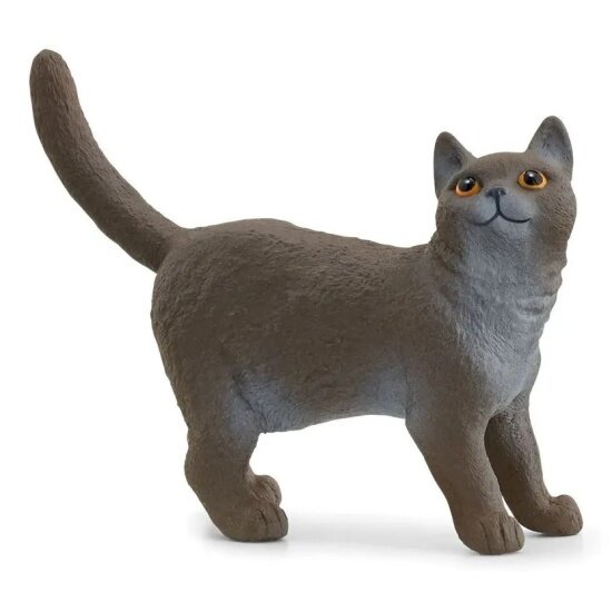 Фигурка Schleich 13973 Британская короткошерстная кошка