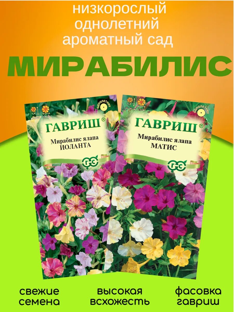 Семена мирабилис 2 пакета