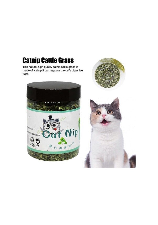 20 г натуральной высококачественной кошачьей мяты со вкусом мяты, забавная игрушка для кошек S1066