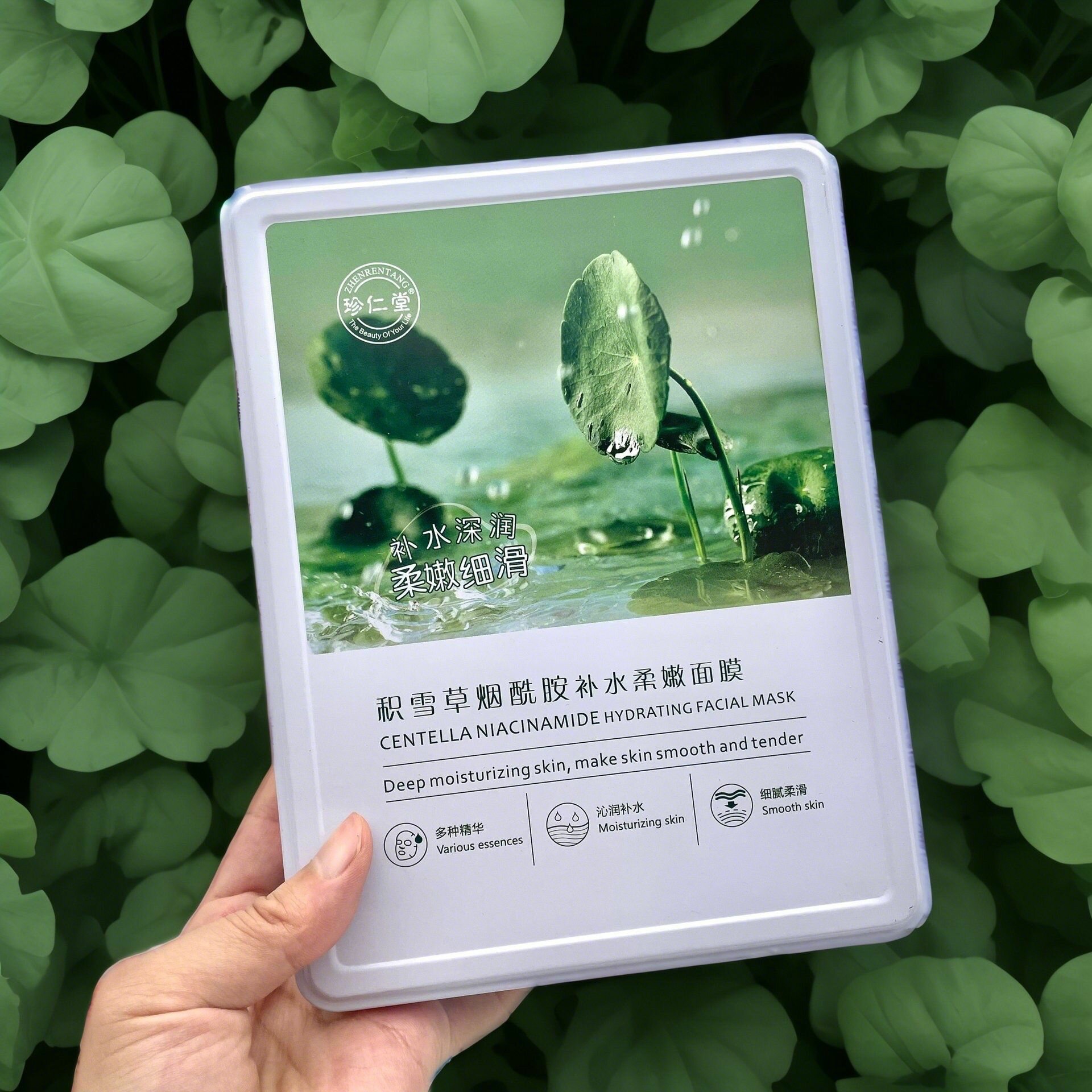 10 штук масок для лица из железной коробки с кактусом и алоэ вера, увлажняющие, смягчающие, осветляющие