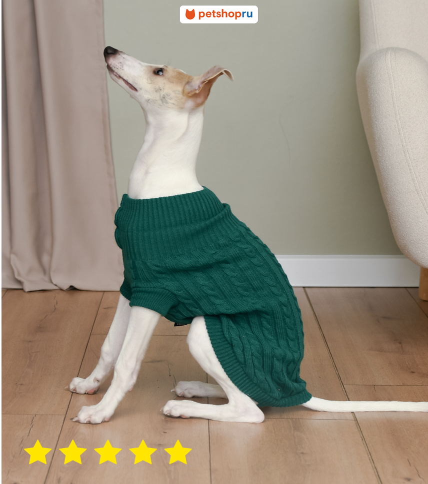 Lelap одежда Свитер для кошек и собак "Verde" зеленый, размер M, спинка 30 см