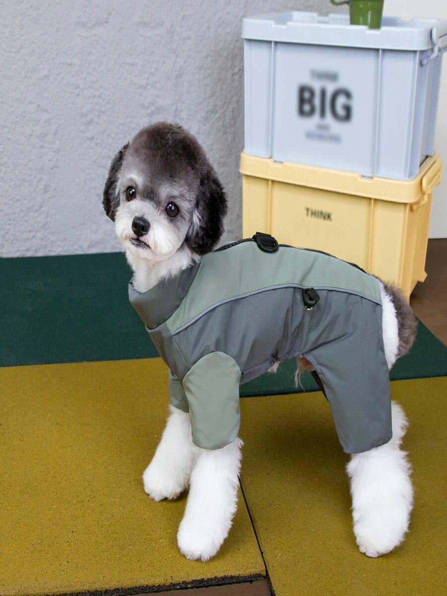 Модная зимняя одежда для домашних питомцев стильная куртка с модным дизайном