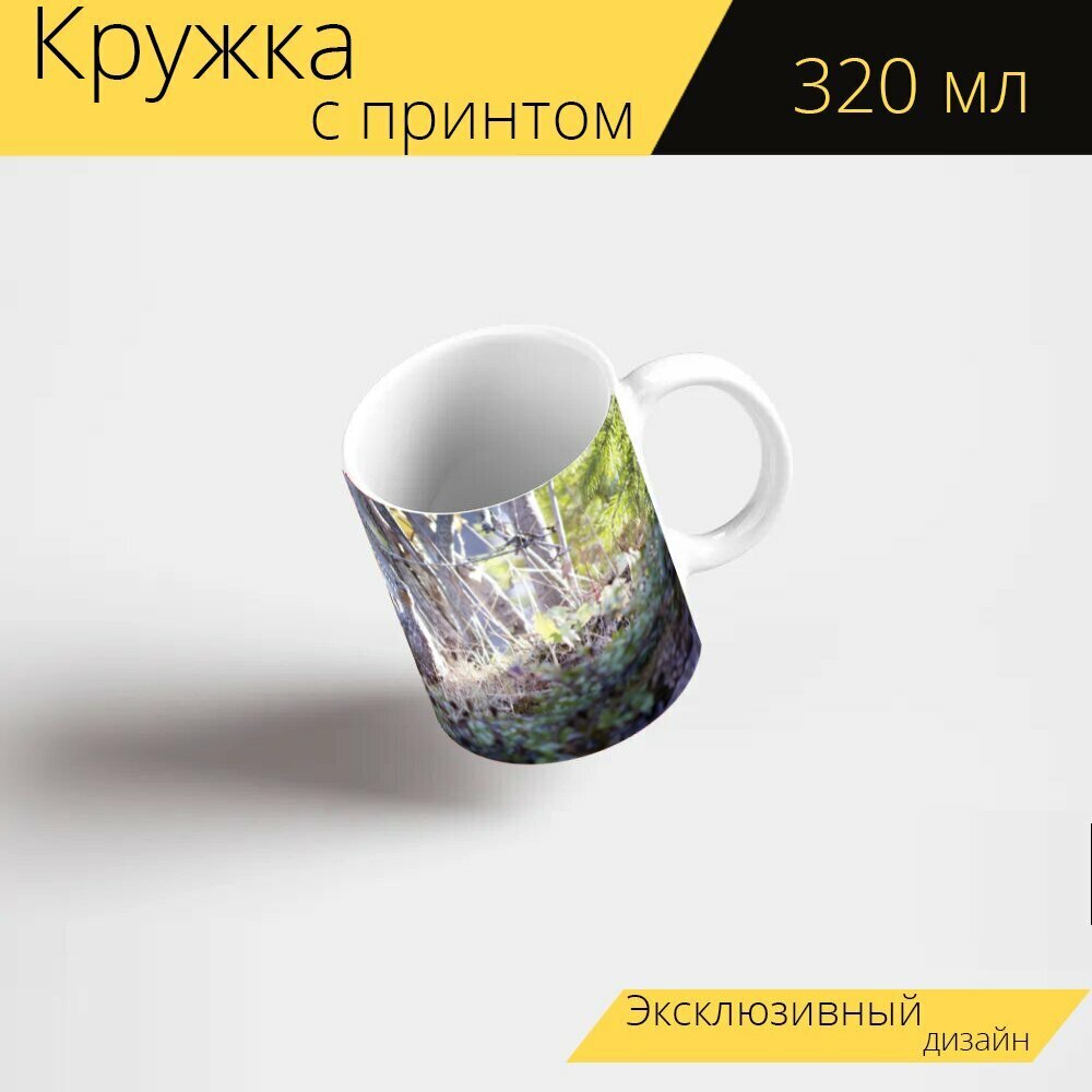 Кружка с рисунком, принтом "Птица, тетерев, охота" 320 мл.