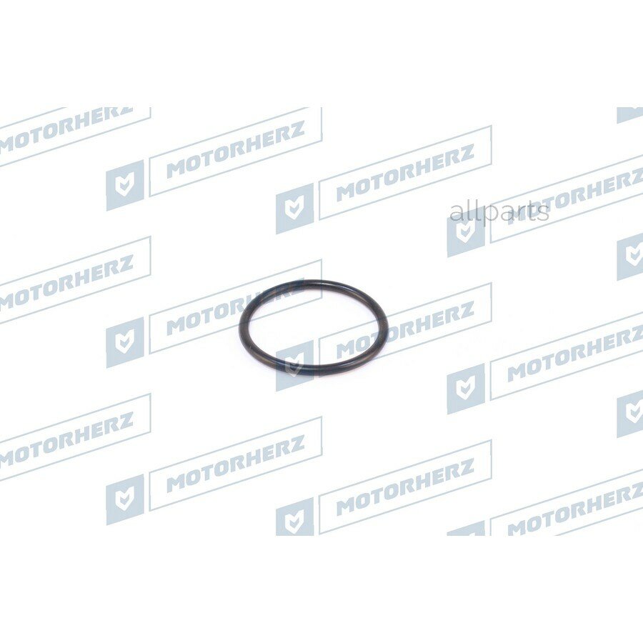 MOTORHERZ HR0425B Кольцо рулевой рейки