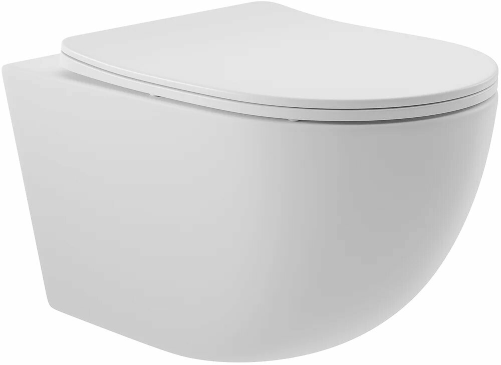 Унитаз подвесной Aqueduto Ovo OVO0120 с микролифтом, безободковый, без бачка, антивсплеск, фаянсовый, белый, матовый, овальный, сиденье для унитаза в комплекте