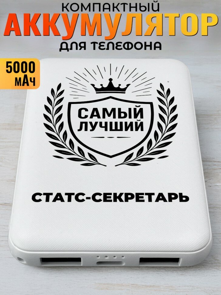 Повербанк "Статс-секретарь"