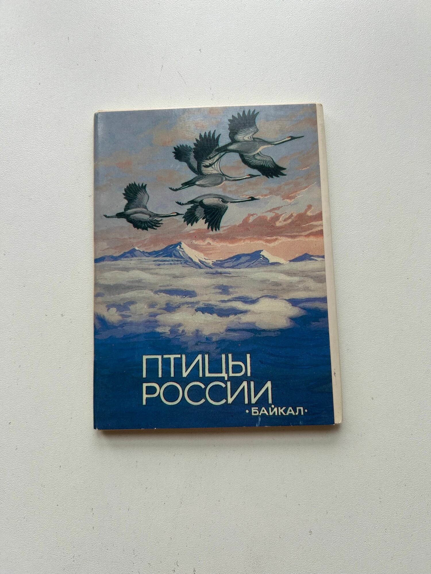 Набор открыток Птицы России. Байкал . Выпуск 3. Художник В. Г. Егоров. Полный комплект из 16 открыток. Издание 1986 года
