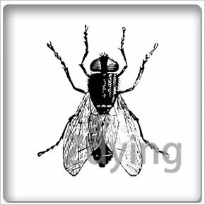 Стеклянные кабошоны с насекомыми LPLWJA 10 шт. 25mm, KU039