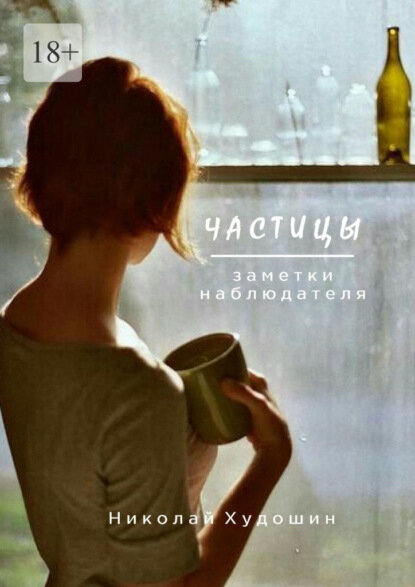 Частицы. Заметки наблюдателя [Цифровая книга]