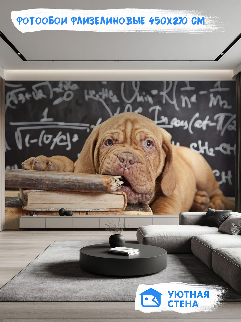 Фотообои Уютная стена "Пес грызет гранит науки", флизелиновые, 450х270 см