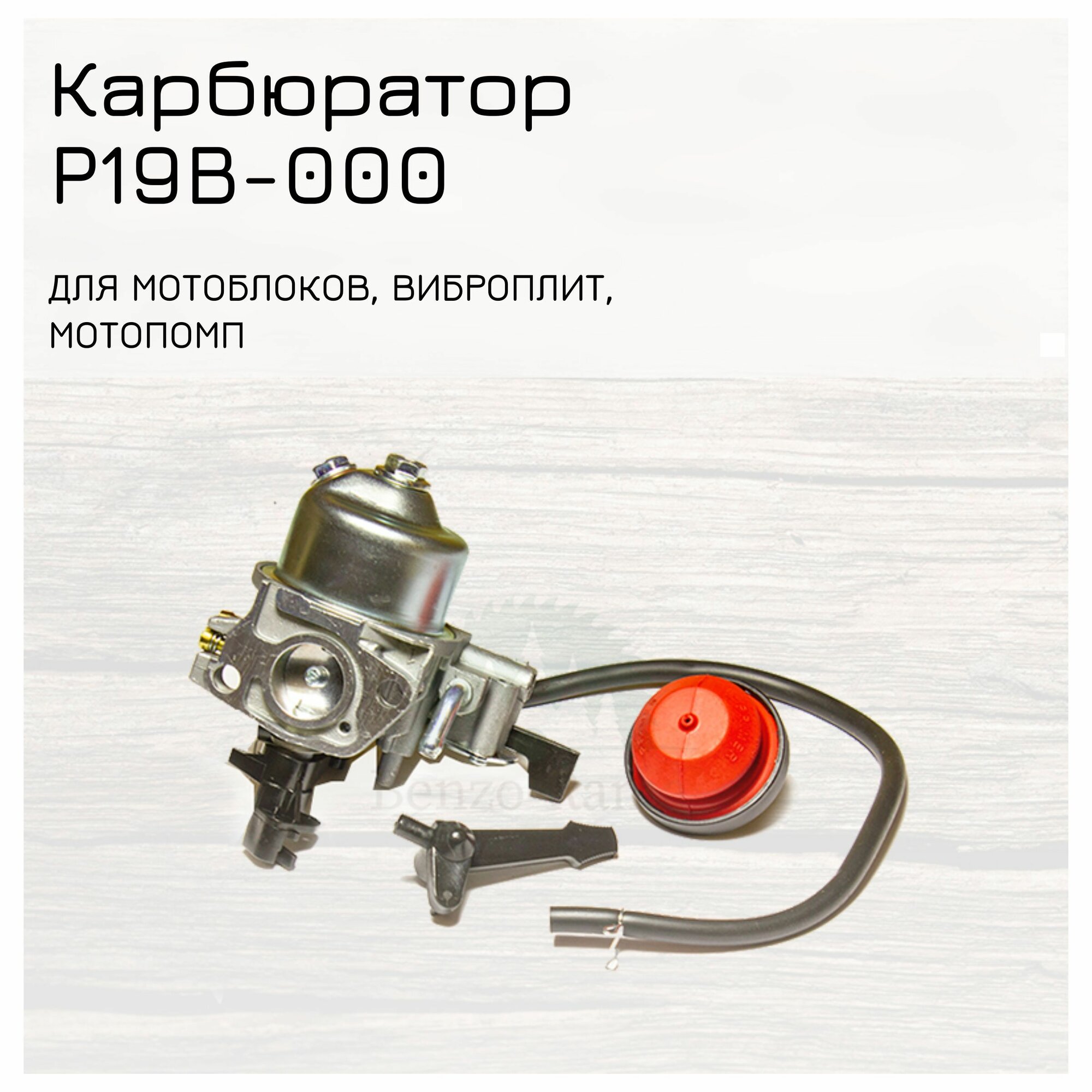 Карбюратор P19B-000 с подкачкой для мотоблоков, виброплит, мотопомп