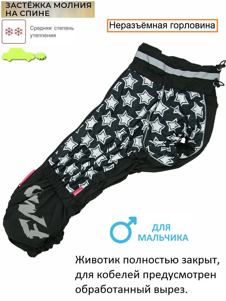 Зимний комбинезон для вельш-корги мальчиков (К43 по спине 45см мальчик)