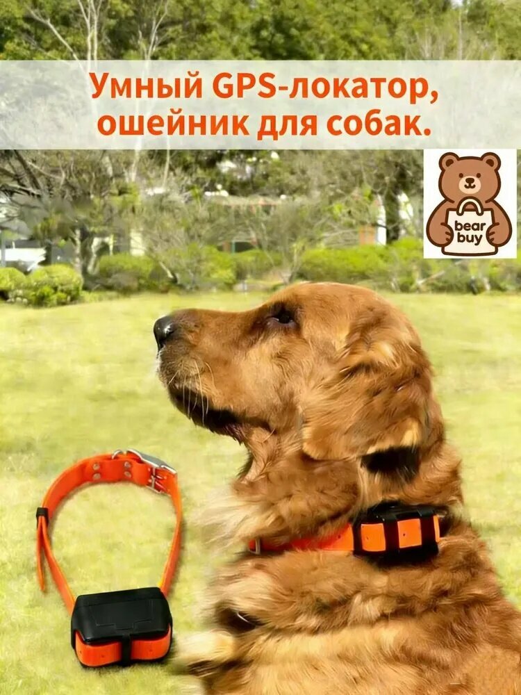 GPS трекер для собак , водонепроницаемый ошейник с магнитной зарядкой, геозона и история маршрутов, стартовый набор для активных питомцев