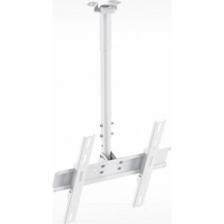 Кронштейн для телевизора Holder PR-101-W белый