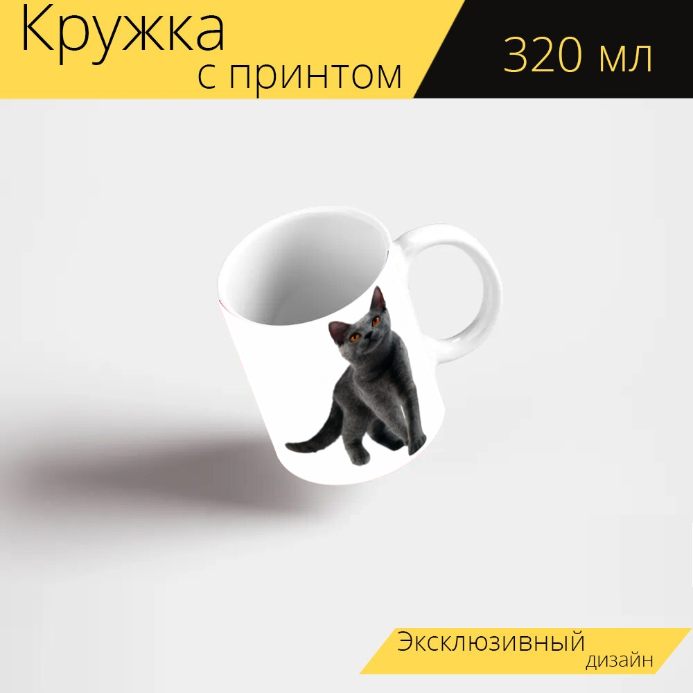 Кружка с рисунком, принтом "Кошка, изолированных на белом Серый кот с янтарными глазами, идущий вперед, изолированных на белом фоне кошка кошачий серый киска котенок." 320 мл.