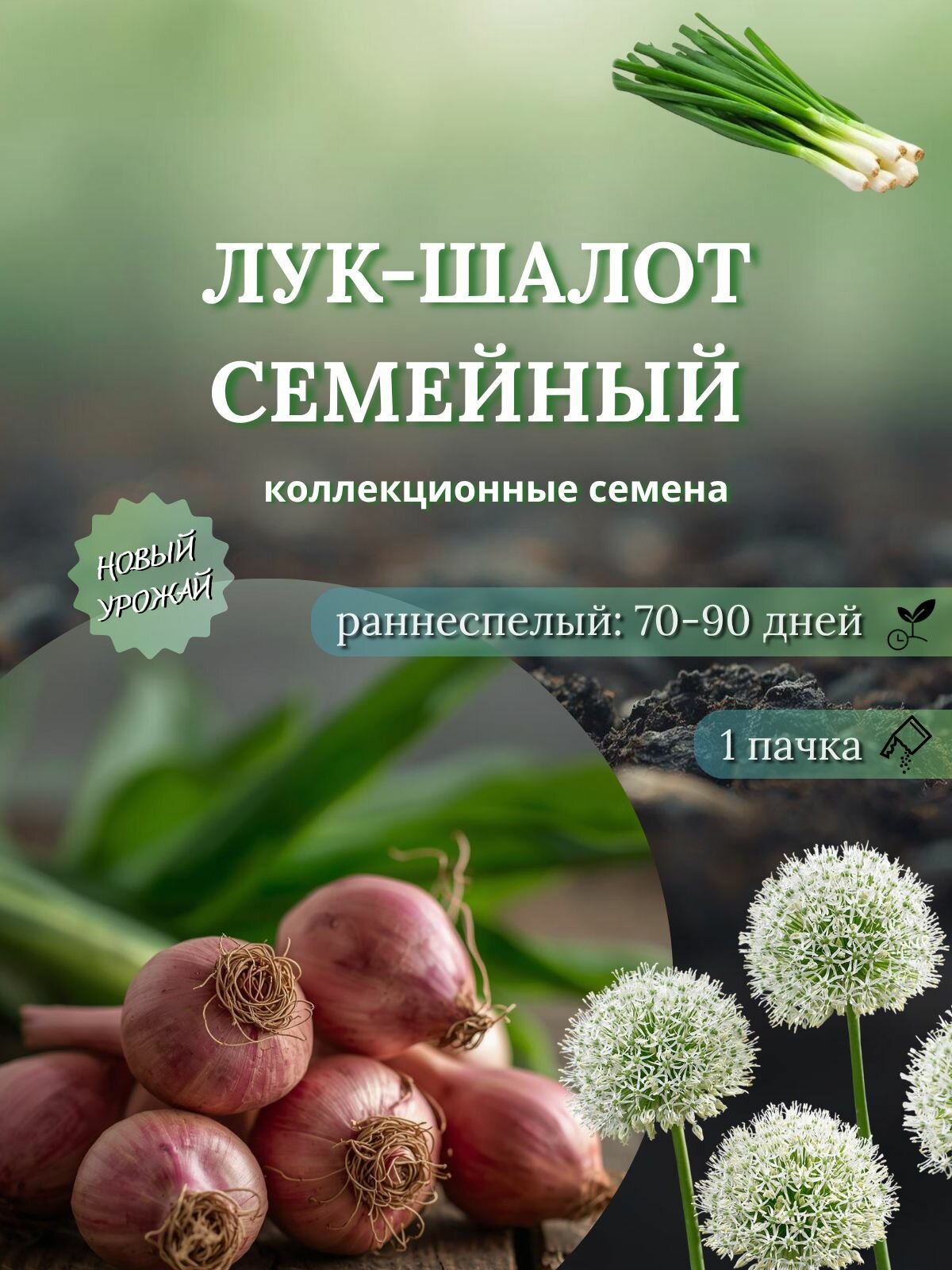 Лук-шалот Семейный, коллекционные семена, 10 шт.