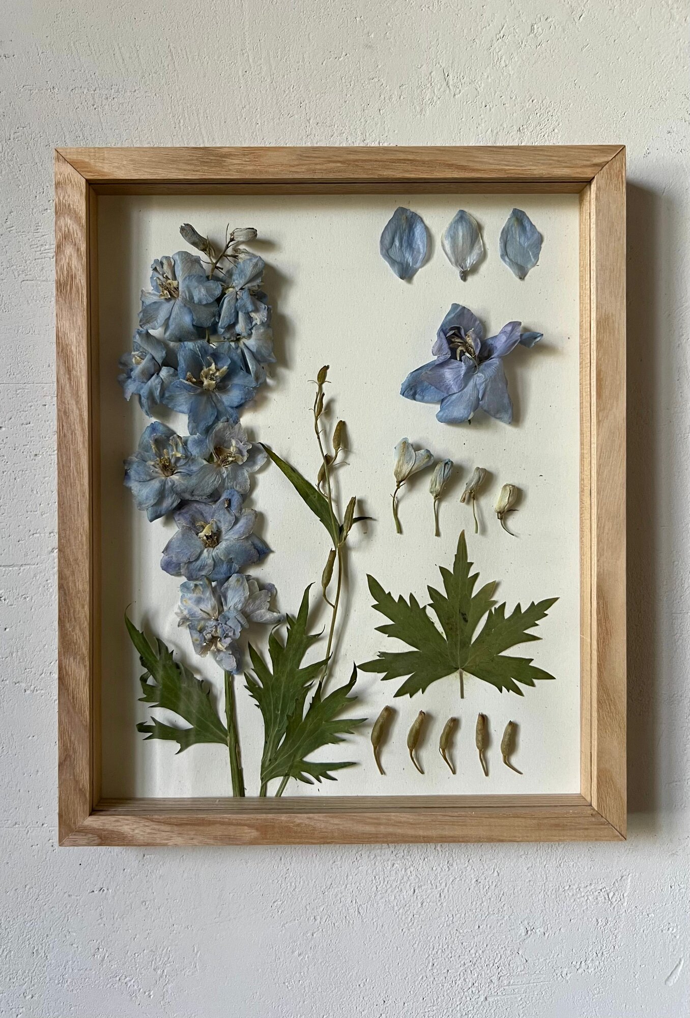 Ботаническое панно из натуральных растений в глубокой рамке 27,5х22,5 см. / Olya_klever