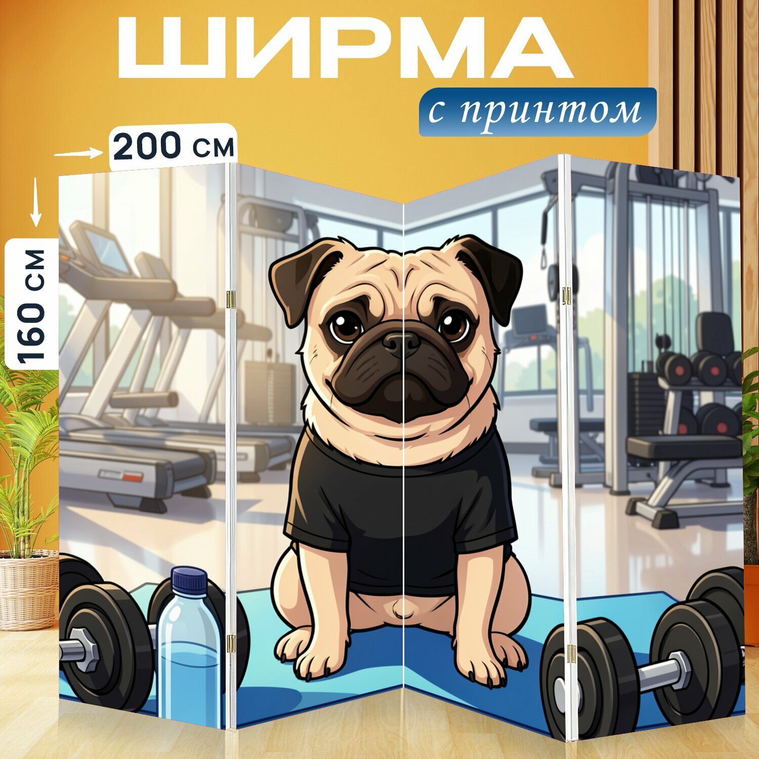 Ширма "Пес на мате. Очаровательная собака в черной футболке сидит в светлом тренажерном зале рядом со." перегородка для зонирования комнаты с принтом 200x160 см. на холсте