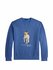 Толстовка Polo Ralph Lauren Polo Bear, размер 46, , Синий принт