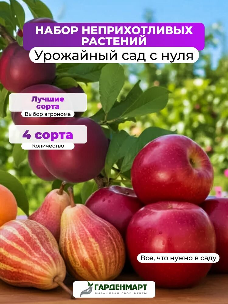 Саженец Комплект неприхотливых растений "Урожайный сад с нуля" из 4 сортов