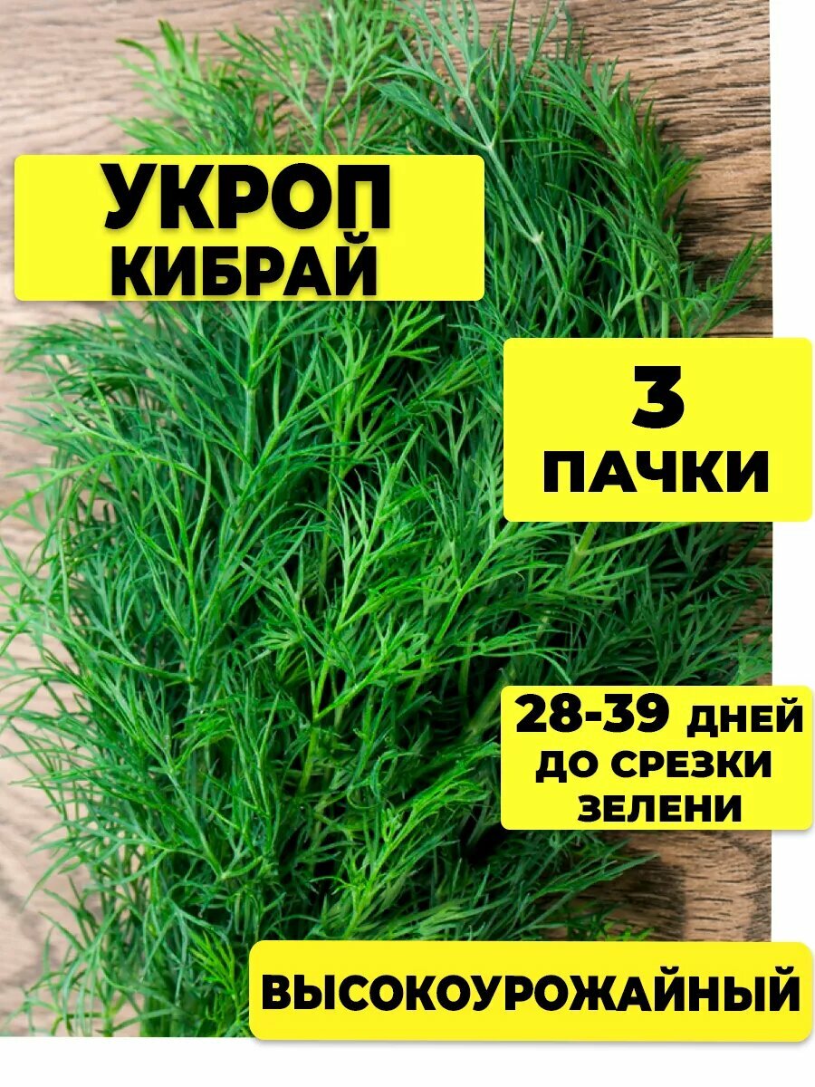 Семена укропа Кибрай, набор 3 пакетика по 2 г, на зелень, для открытого грунта и теплицы