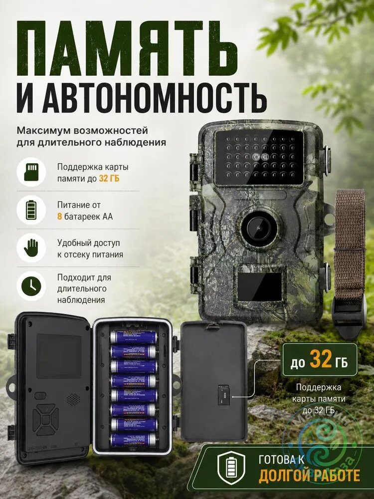 Фотоловушка — фото 1
