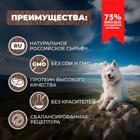 Родные корма 12 шт по 970 г консервы для собак говяжьи кусочки в соусе по-хански