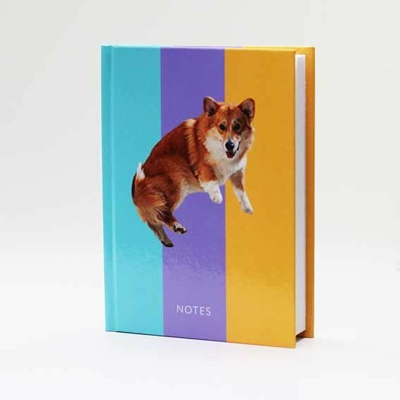 Записная книжка ЭКСМО А6 64 листа, твердая обложка, "Корги", глянцевая ламинация (КЗ6643731)