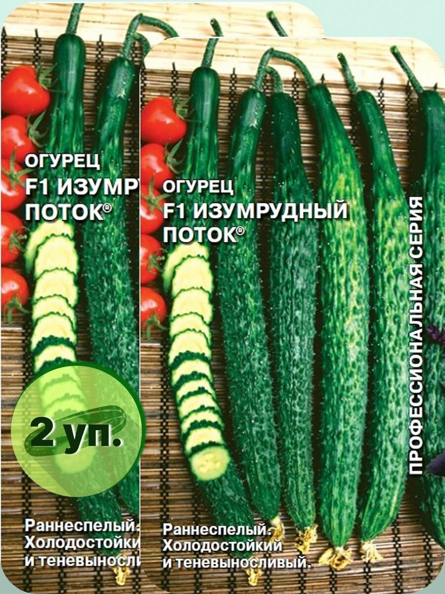 Семена огурца "СеДеК" изумрудный поток (2 уп.), сладкие, тонкокожие