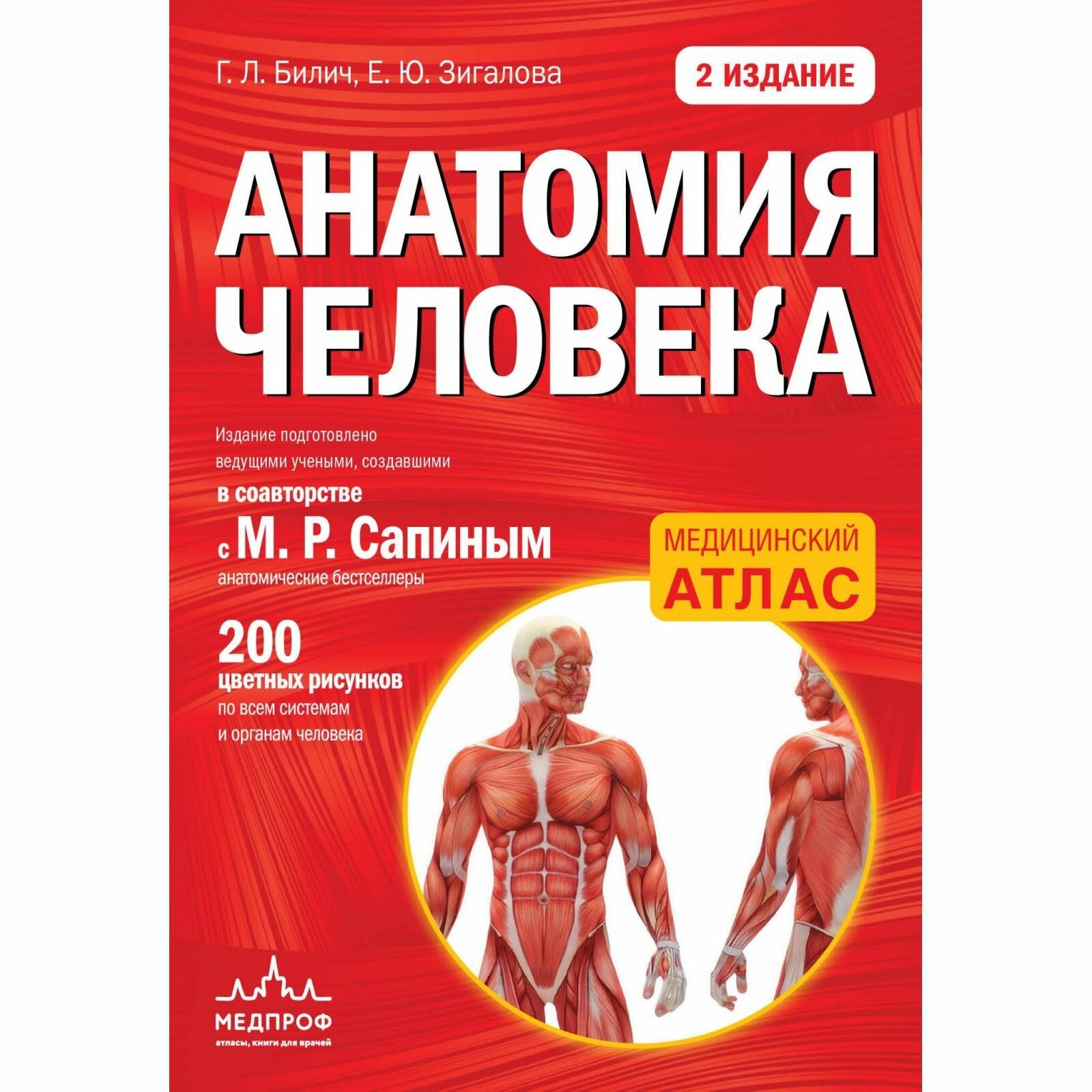 Анатомический атлас ЭКСМО Цветной. Анатомия человека, 2 издание, Билич Г. Л, Зигалова Е. Ю, 240 стр, 2024 г.