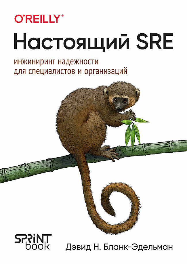 Настоящий SRE: инжиниринг надежности для специалистов и организаций / книги по программированию
