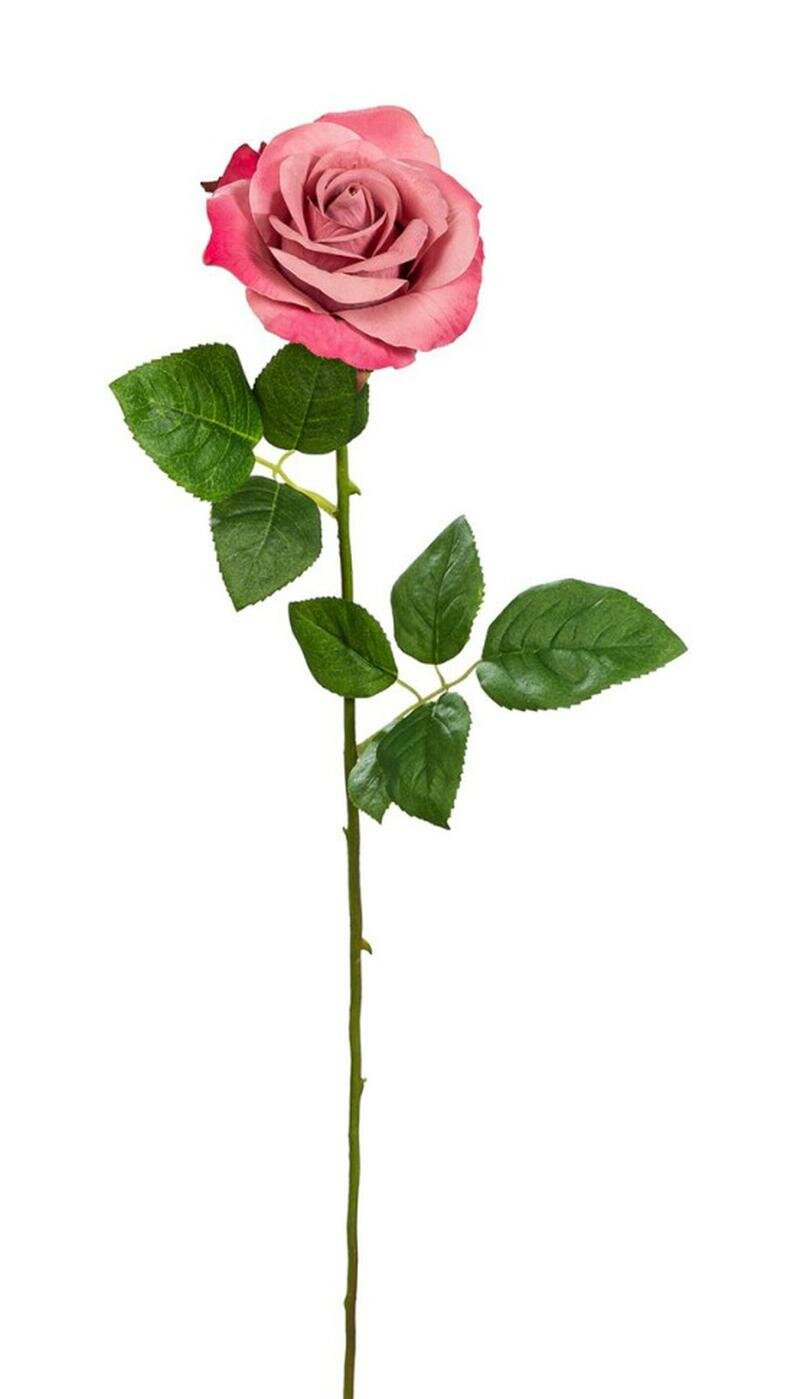 Fiebiger Floristik 207122-450 Цветок декоративный "Роза", 58 см