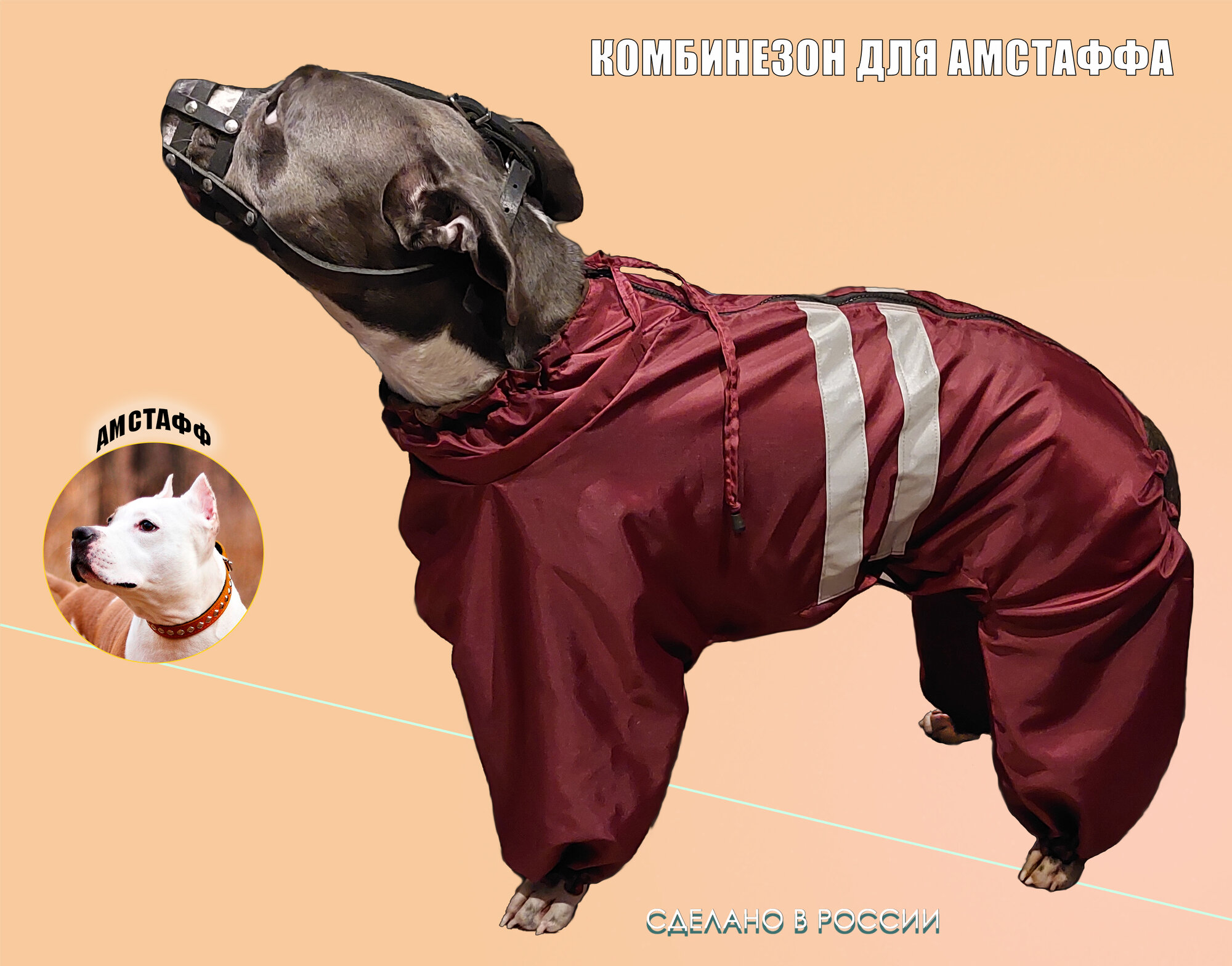 Комбинезон-дождевик для американского стаффордширского терьера кобеля, повышенной прочности, со светоотражающими полосами, цвет бордо