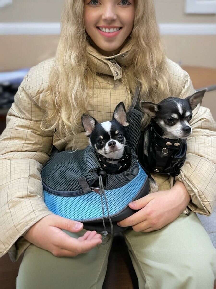 Переноска для животных, слинг сумка дорожная для собак и кошек, синий S 35x19.8см до 4 кг