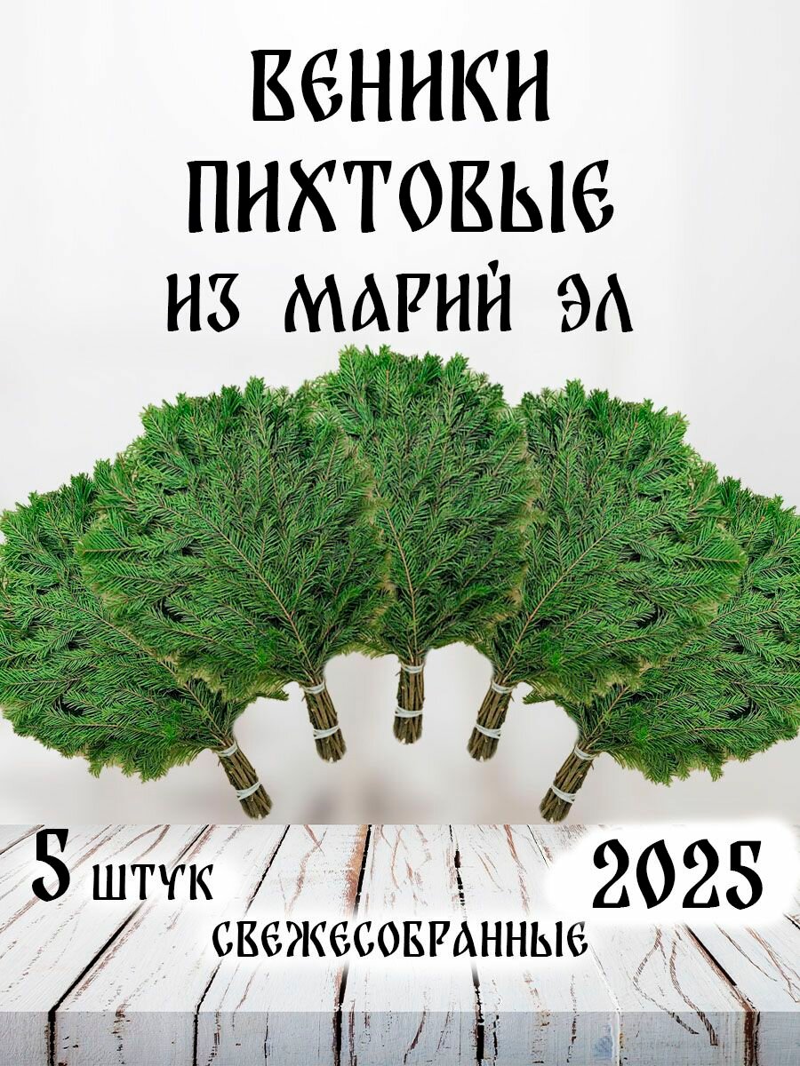 Пихтовые веники для бани из Марий Эл в коробке 5 штук 2025