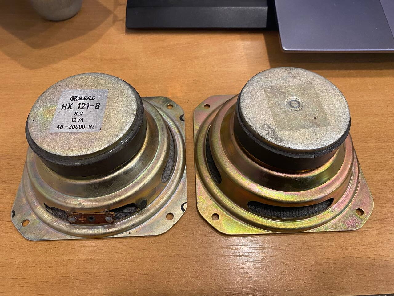 Динамики BEAG HX 121-8 (пара)