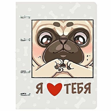 Тетрадь со сменным блоком Listoff 100 листов, в клетку, на 4 кольцах, "Я люблю тебя" ТКФ1005510
