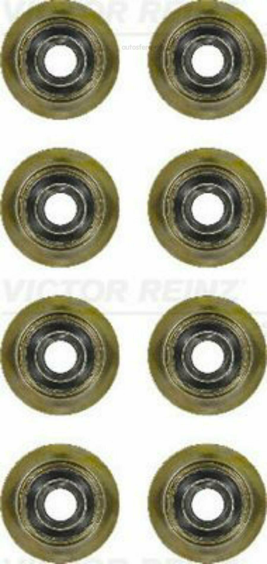 VICTOR REINZ 123589301 Колпачки маслосъемные ГРМ (к-т) Ford Transit 2.5D, DI, TD 91-
