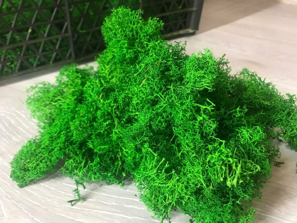 Стабилизированный мох 2 сорт (обрезки) 1 кг салатовый/мох для декора, дизайна, озеленения/лесной, природный мох для хобби и творчества