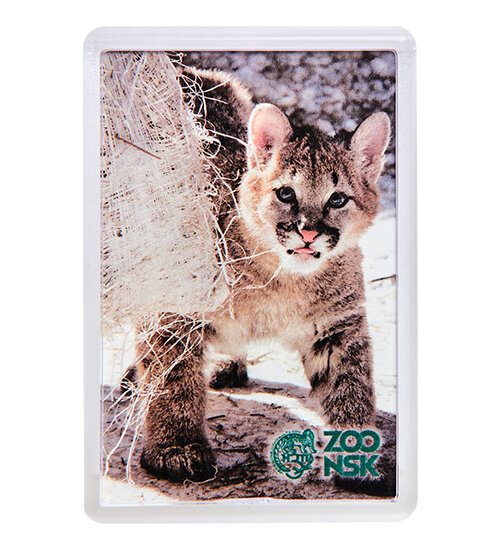 Магнит Новосибирский зоопарк МТ-001/16 113-701110