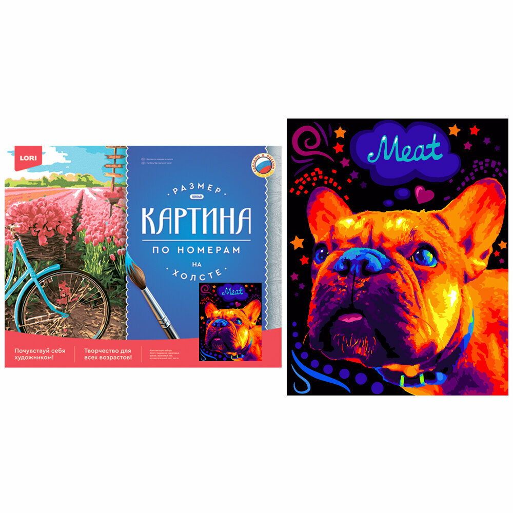 Картина по номерам холст на подрамнике LORI Яркий бульдог 40х50 см Рх-125