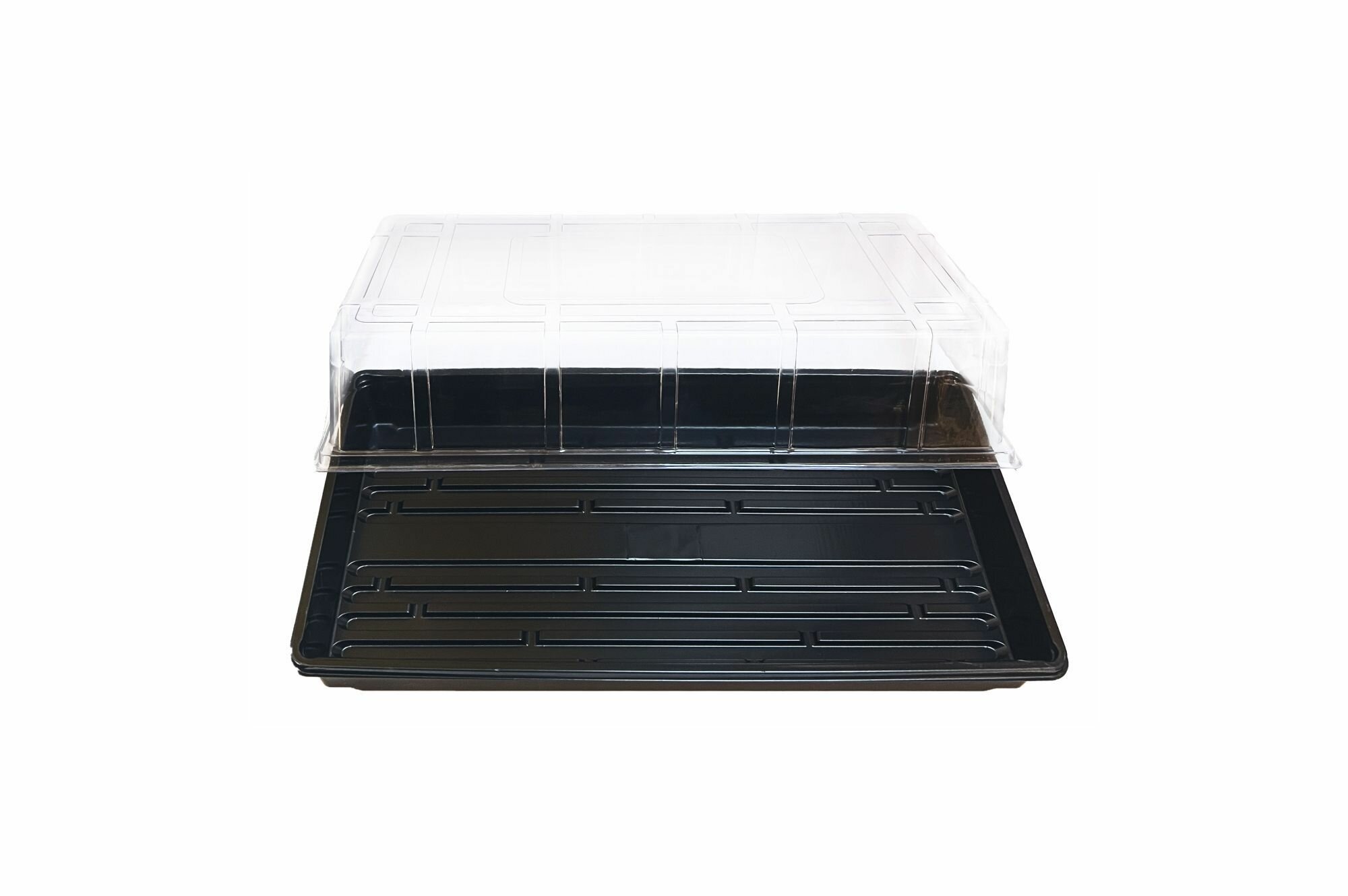 Пропагатор для рассады c крышкой (54х28х16) L