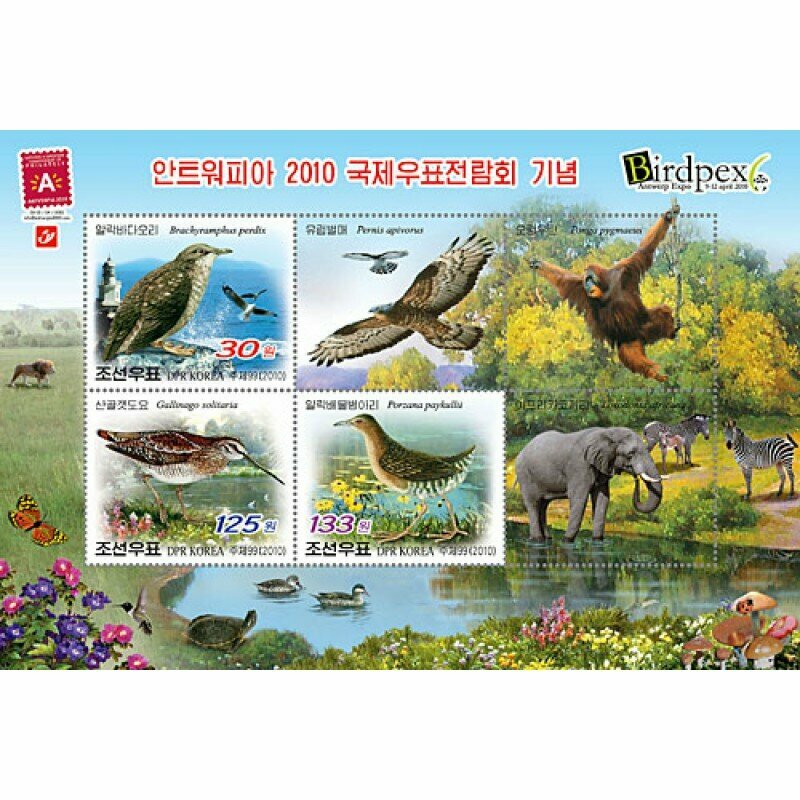 Почтовые марки Северная Корея 2010г. "Фауна" Птицы, Фауна MNH