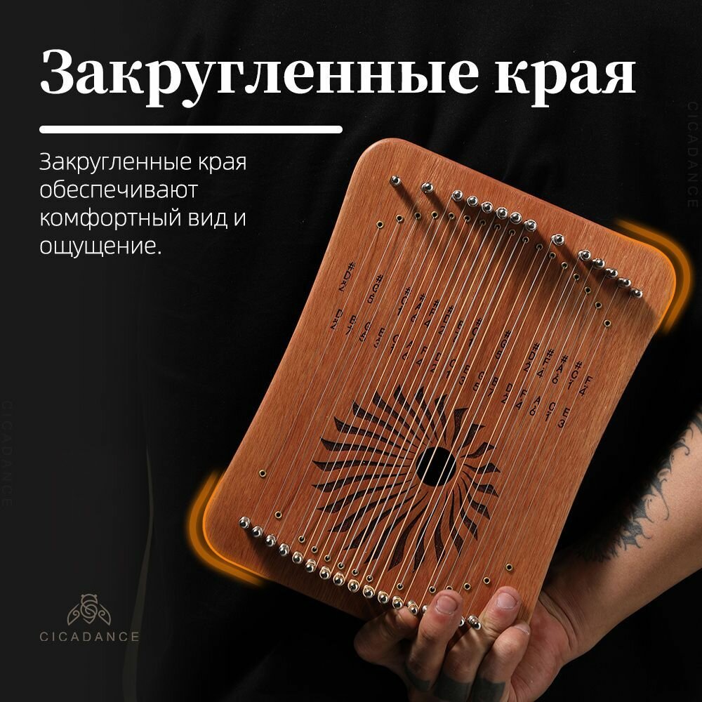 Струнный инструмент — фото 1