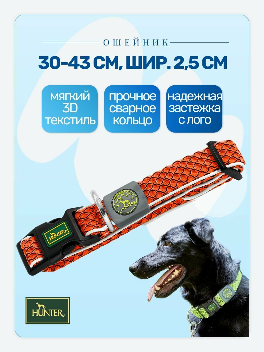 Hunter ошейник Hilo Vario Basic цвет оранжевый, шея 30-43 см, ширина 2,5 см.