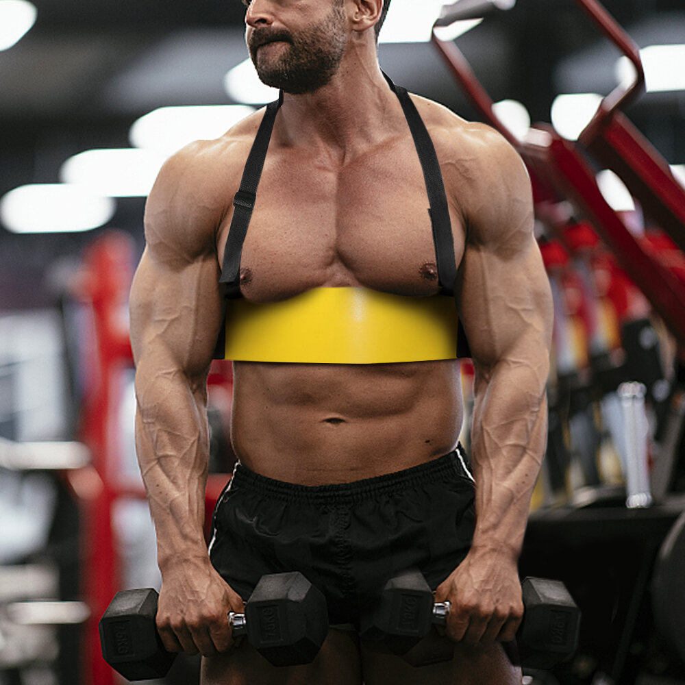 Бицепсы и трицепсы. Тренажеры для наращивания мышечной массы. Изолятор бицепса. Тренажеры для силовых тренировок. Набор мышечной массы для бодибилдинга. Гантели и штанги для поднятия тяжестей.