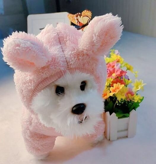 Новый стиль-домашняя собака плюс бархатная теплая двуногая одежда с капюшоном-Тедди Бишон для маленьких и средних щенков и кошек, утепленная зимняя одежда