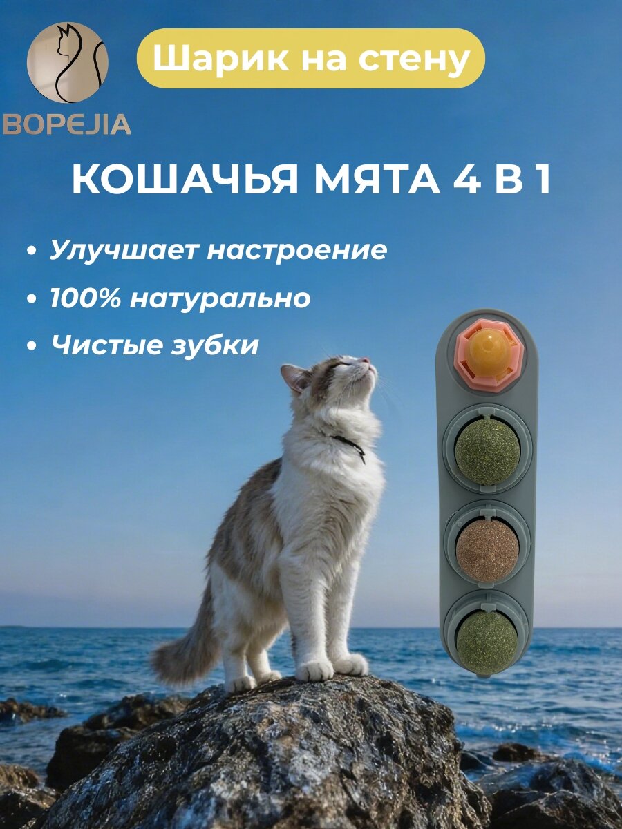 Игрушки для кошек, кошачья мята, леденец для кошек, шарик на стену BOPEJIA